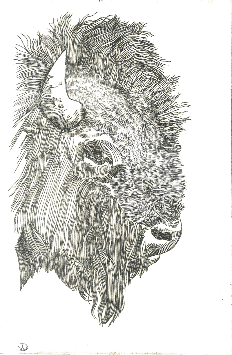 Preserving The Art Of Copperplate Engraving Art Of The West Magazine